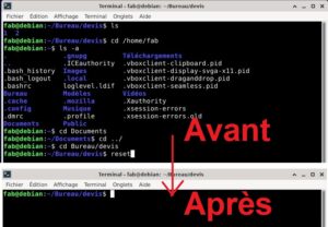 Effacer / nettoyer > commandes du terminal Linux [2 SOLUTIONS]