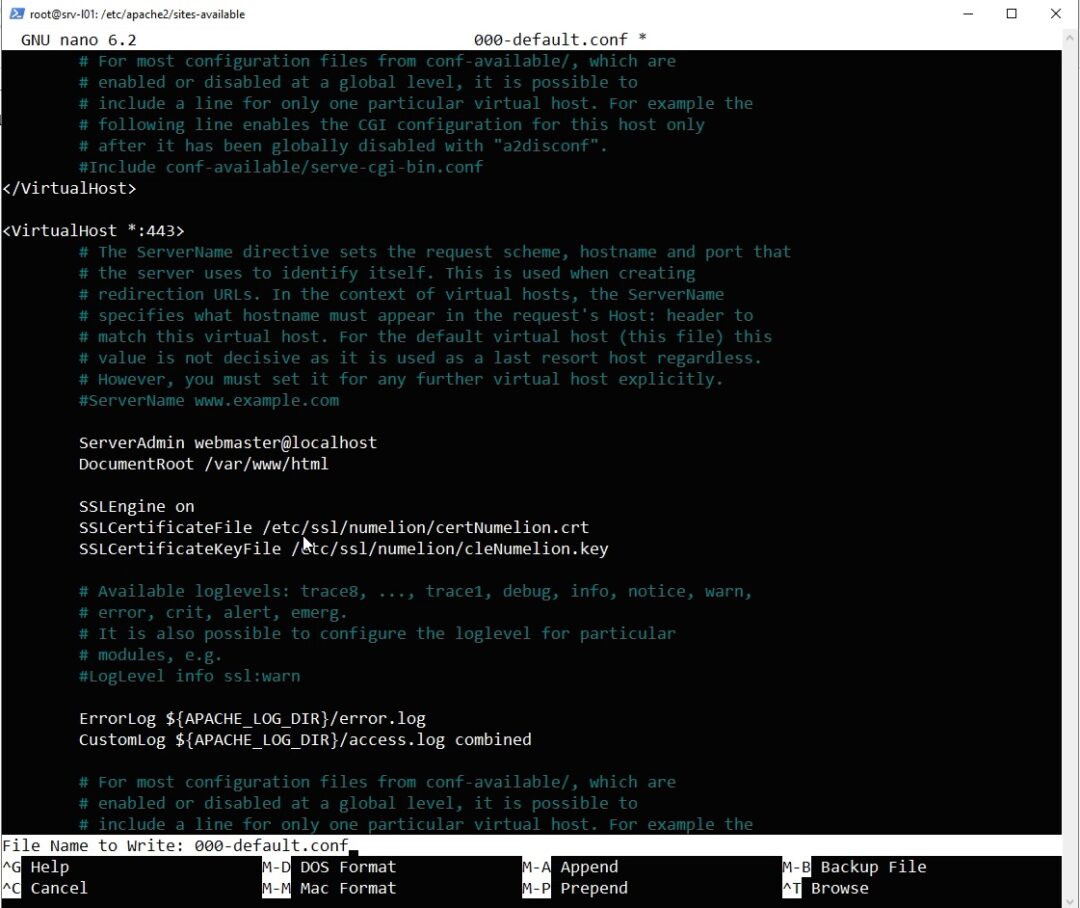 Générer un Certificat SSL Auto-Signé Facilement [TUTORIEL]